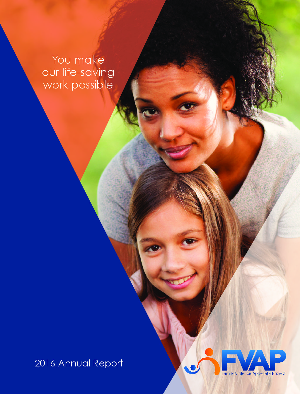 Annual Reports & Financials – Family Violence Appellate Project