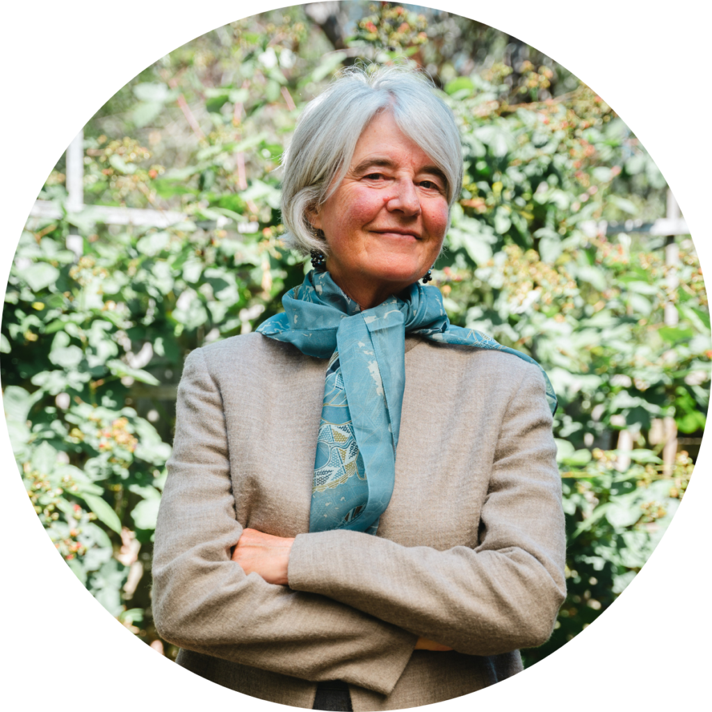 Nancy K.D. Lemon – Family Violence Appellate Project